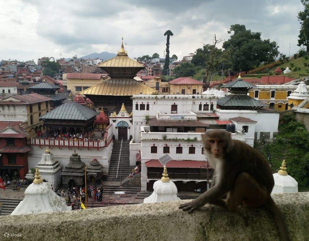 Lawatan Ziarah Hindu di Kathmandu - Klook Amerika Syarikat