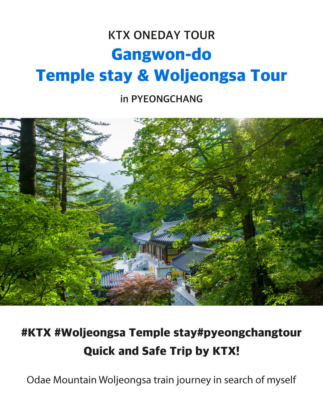 KTX One Day Gyeongsang-do Temple stay&Woljeongsa Tour - Klook