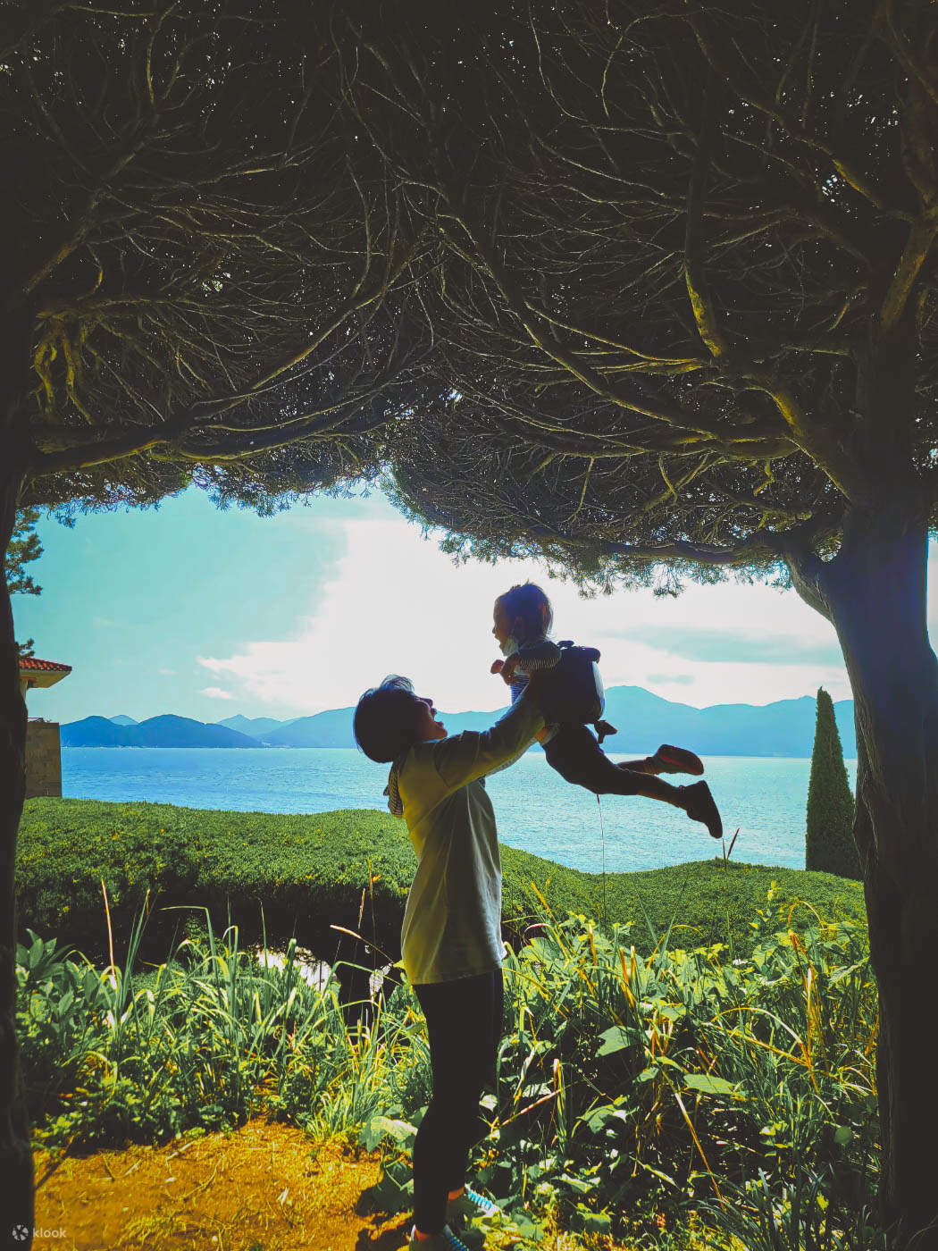 Tour Oedo Botania + Geoje Panorama + Haegeumgang + Hill of Wind - Klook ...