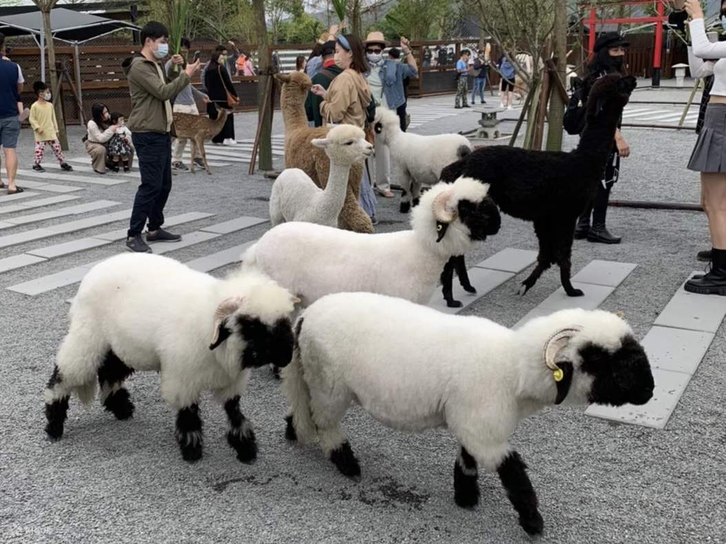 Yilan Zhang Mei Ama Farm Day Tour from Taipei - Klook Singapore