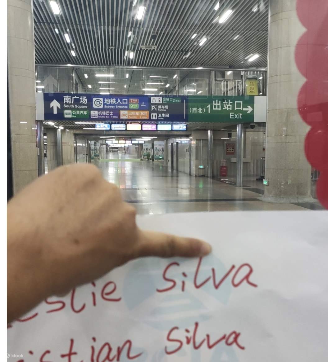 Beijing Private Tour:Hanging Temple&Yungang Grottoes by Bullet Train ...