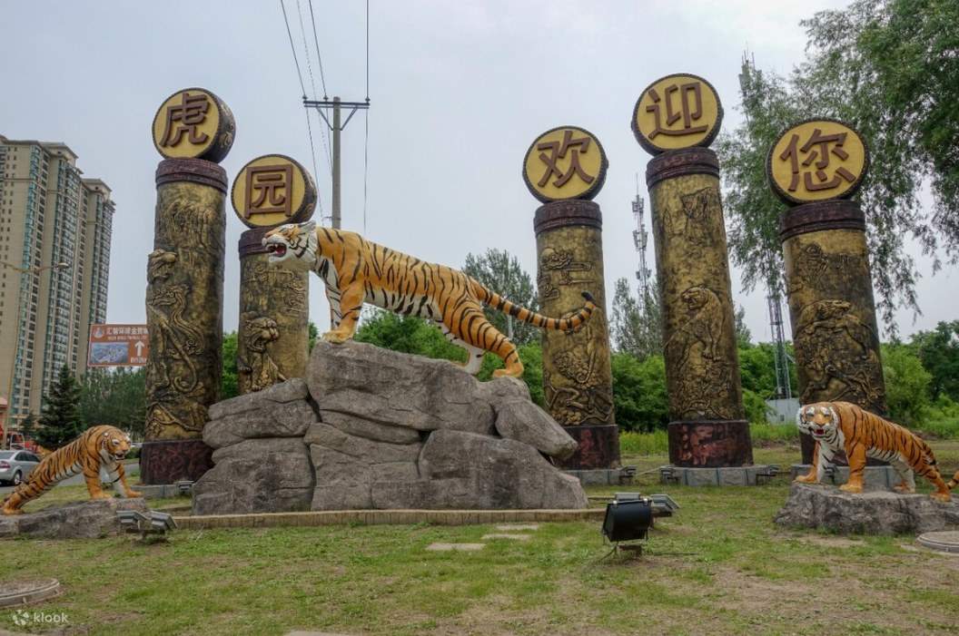 Harbin Scenic Day Tour (Including Harbin City Hotel Pickup) - Klook