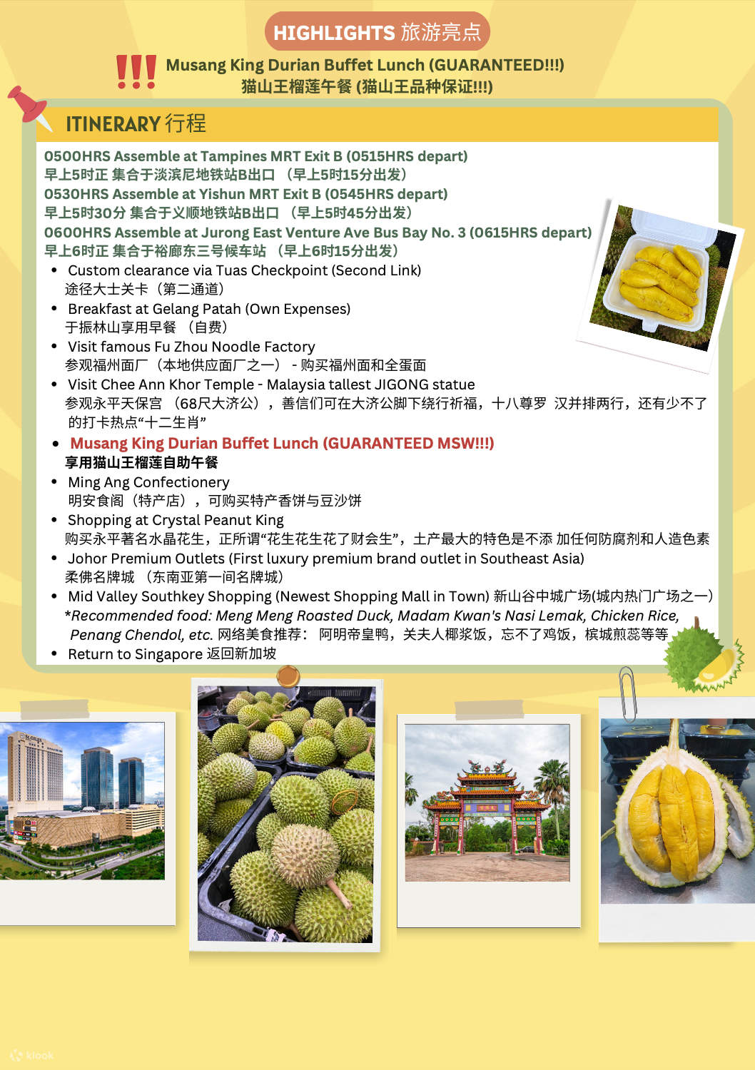 One-Day Musang King Durian Feast Tour - Klook