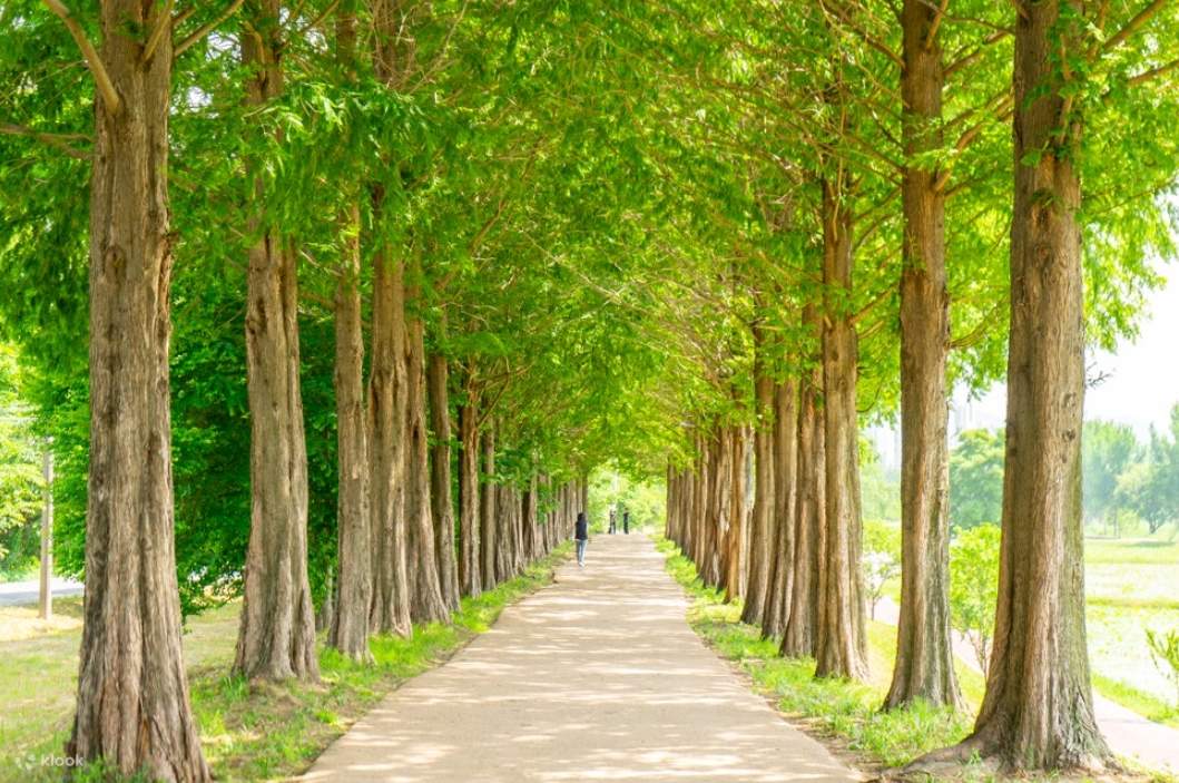 Gongju Light Aircraft & Gongju Day Tour - Klook