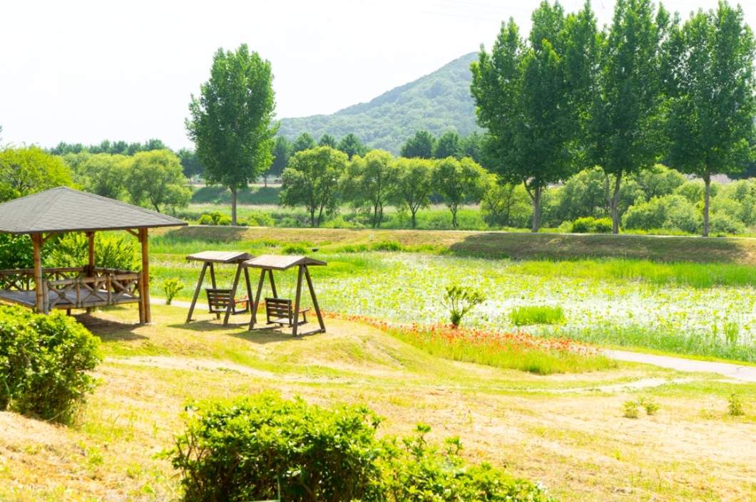 Gongju Light Aircraft & Gongju Day Tour - Klook