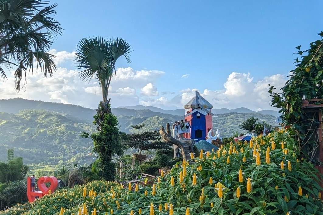 Half-Day Cebu City Tour including Sirao Garden - Klook Philippines