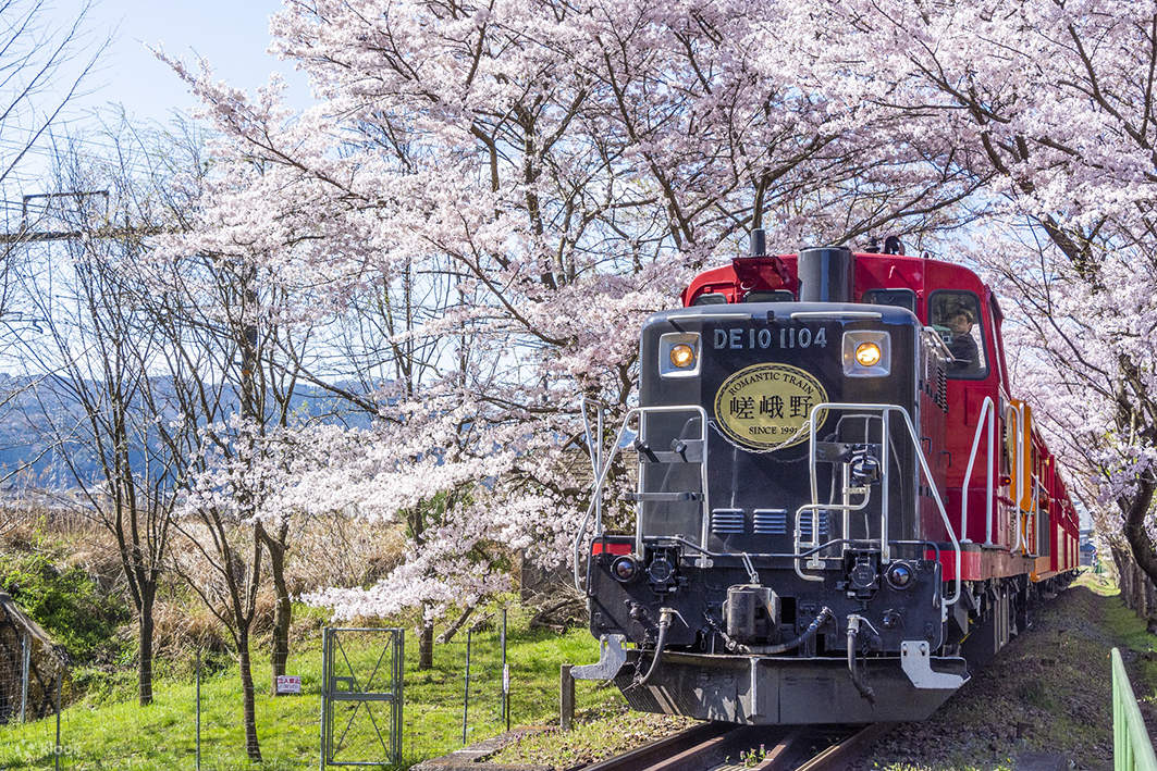Arashiyama Scenic Train & Hozugawa River Boat Ride Day Trip (From Osaka ...