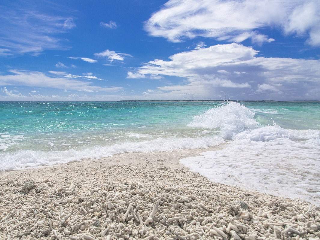 Pulau Iriomote/Setengah Hari Pengalaman Snorkeling Perahu di Pulau ...