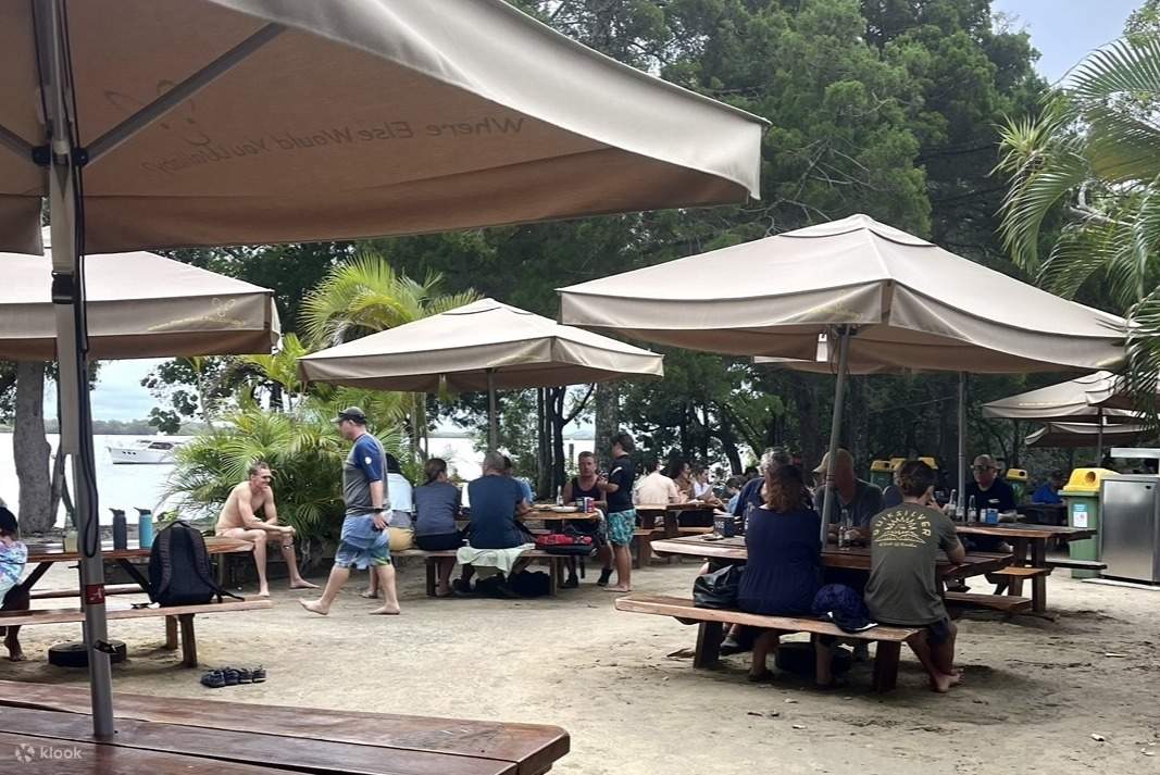 Boat Tour from Surfers Paradise to Tipplers, South Stradbroke Island ...