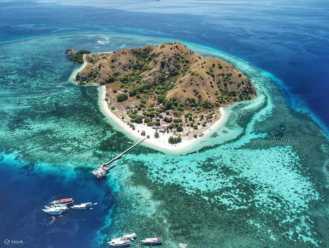 Lawatan Bot Laju Mewah Komodo Sehari Penuh dari Labuan Bajo - Klook ...