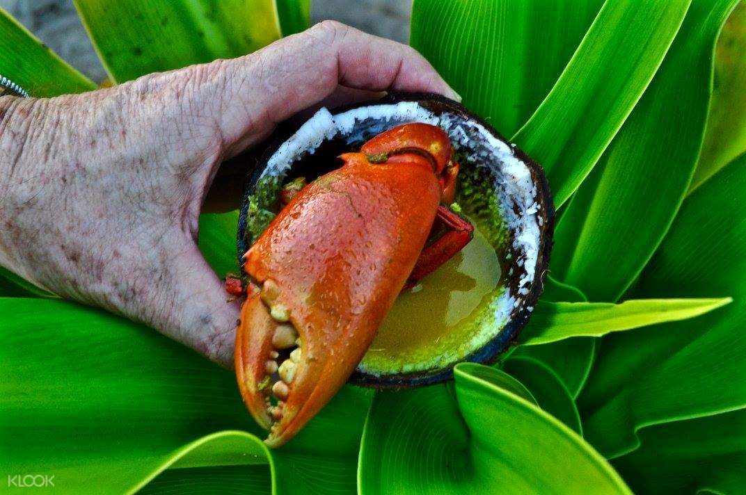 Robinson Crusoe Island Village and Crab Catching Day Tour - Klook
