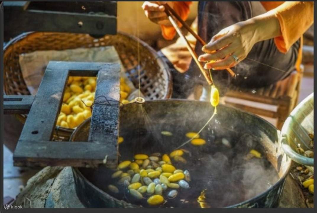 Hoi An Silk Farming Tour, Vietnam - Klook
