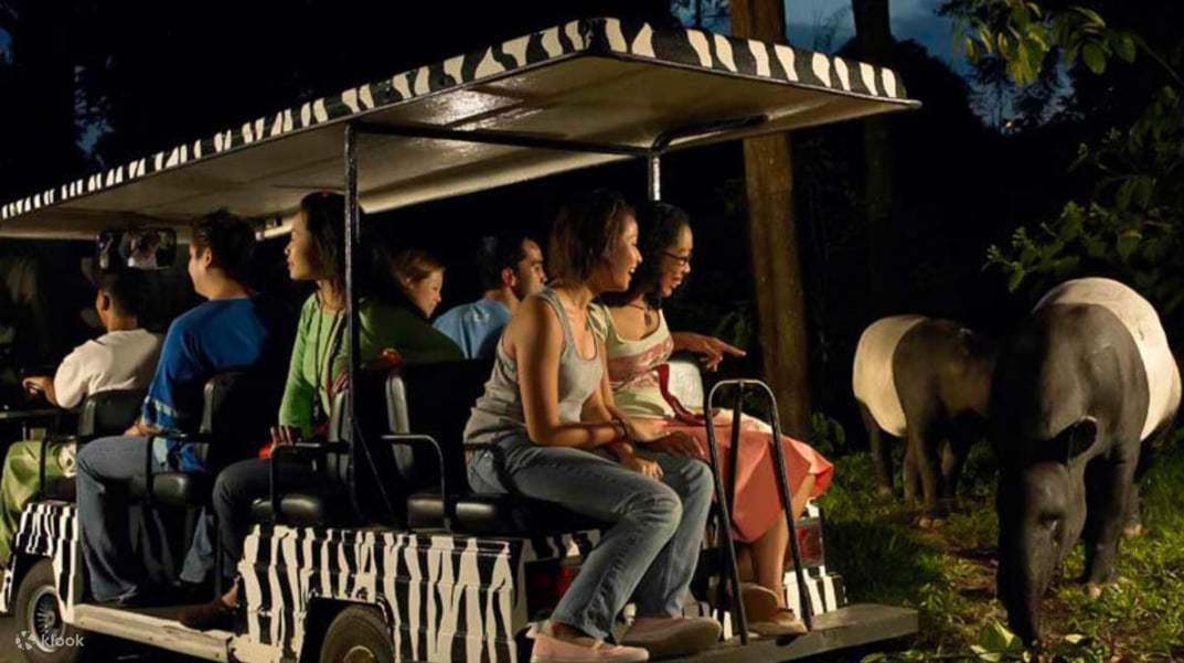 7 天 6 夜新加坡豪华游轮和私人 VIP 陆地游 - Klook客路