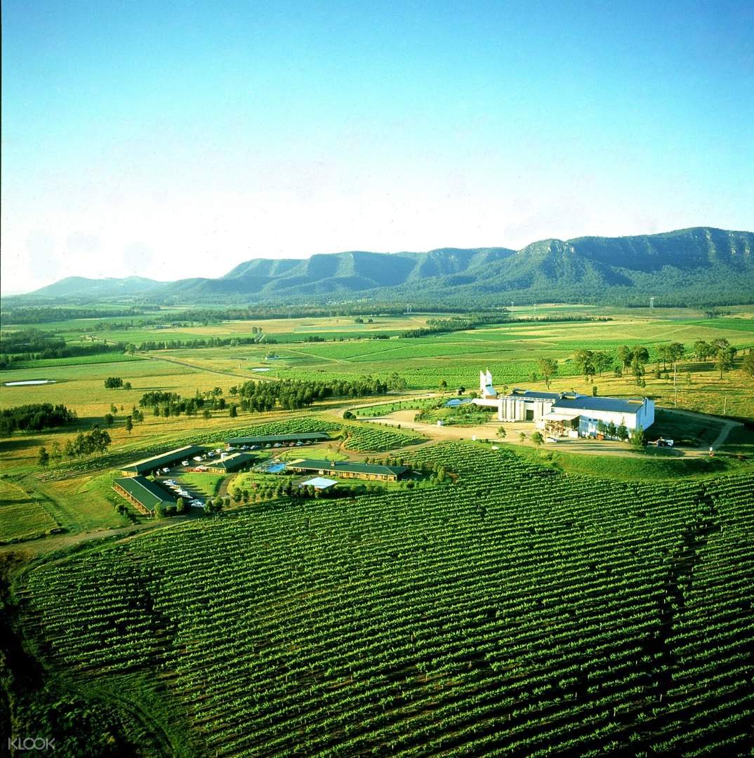 2/3 Day Hunter Valley Trip with Return SceneryTrain from Sydney - Klook ...