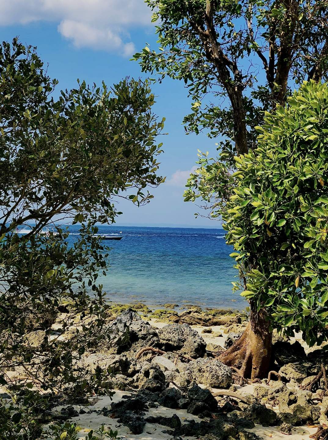 Port Blair: Havelock Island Day Trip with Ferry & Private Cab - Klook