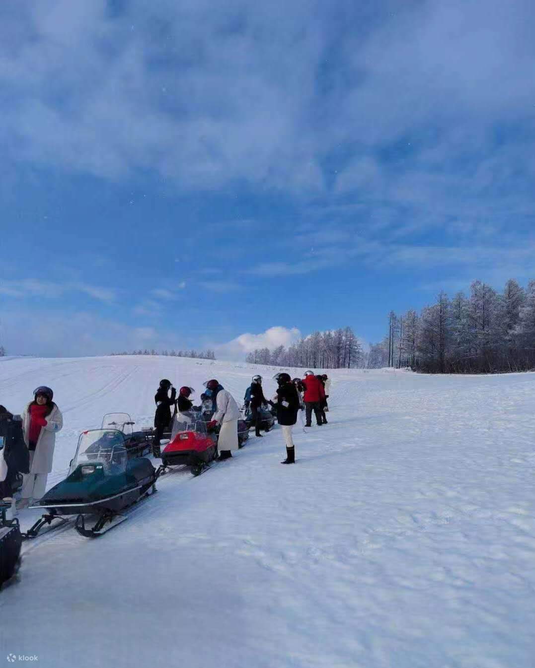 Illumination Tour: Furano Elf Terrace, Biei Blue Pond & Shirahige Falls ...