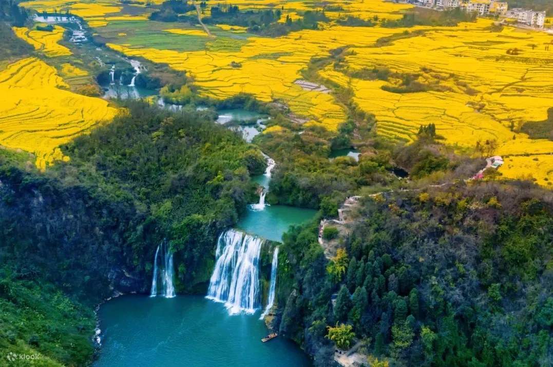 Yunnan 6 days and 5 nights (Enjoy spring + enjoy flowers + enjoy sea of ...