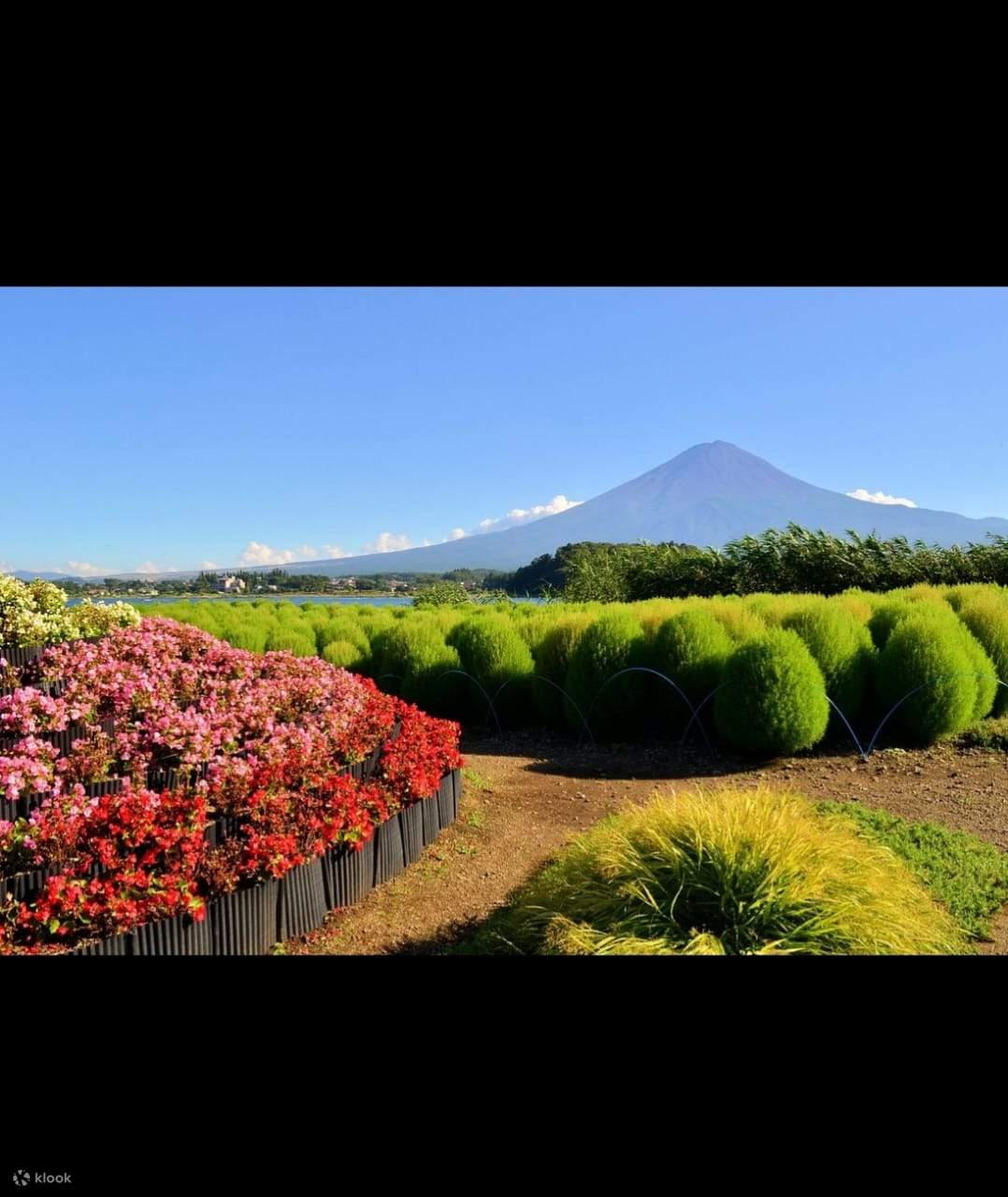 Tur Pribadi Gunung Fuji Dengan Mobil dan Penjemputan - Klook Indonesia