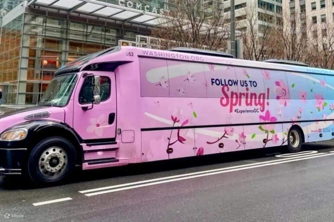 华盛顿特区樱花盛开巴士之旅 - Klook客路