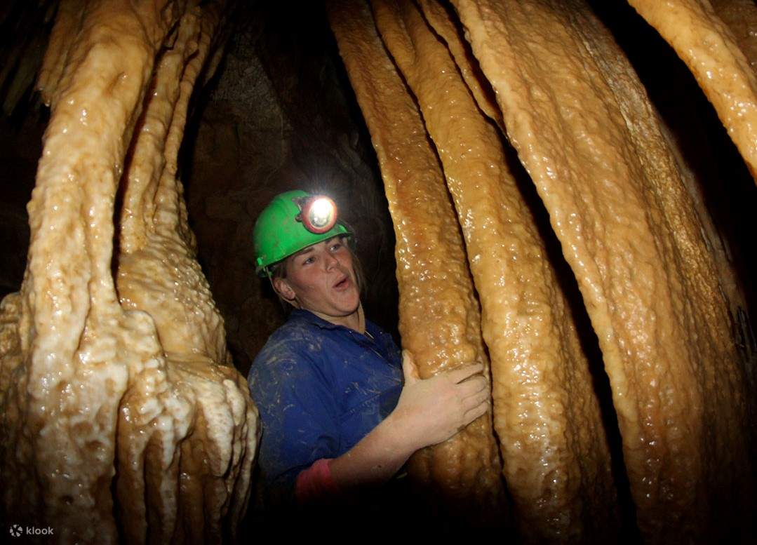 Raglan Rock Caving Pioneer Tour - Klook Philippines