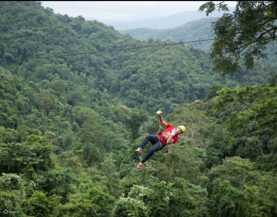 Join In Skyhawk Zipline Experience Chiang Mai in Chiang Mai - Klook