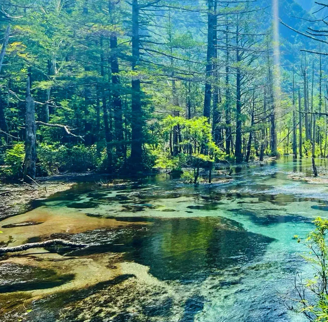 Nagoya Kamikochi and Taisho Pond Full-Day Nature Hiking Tour - Klook