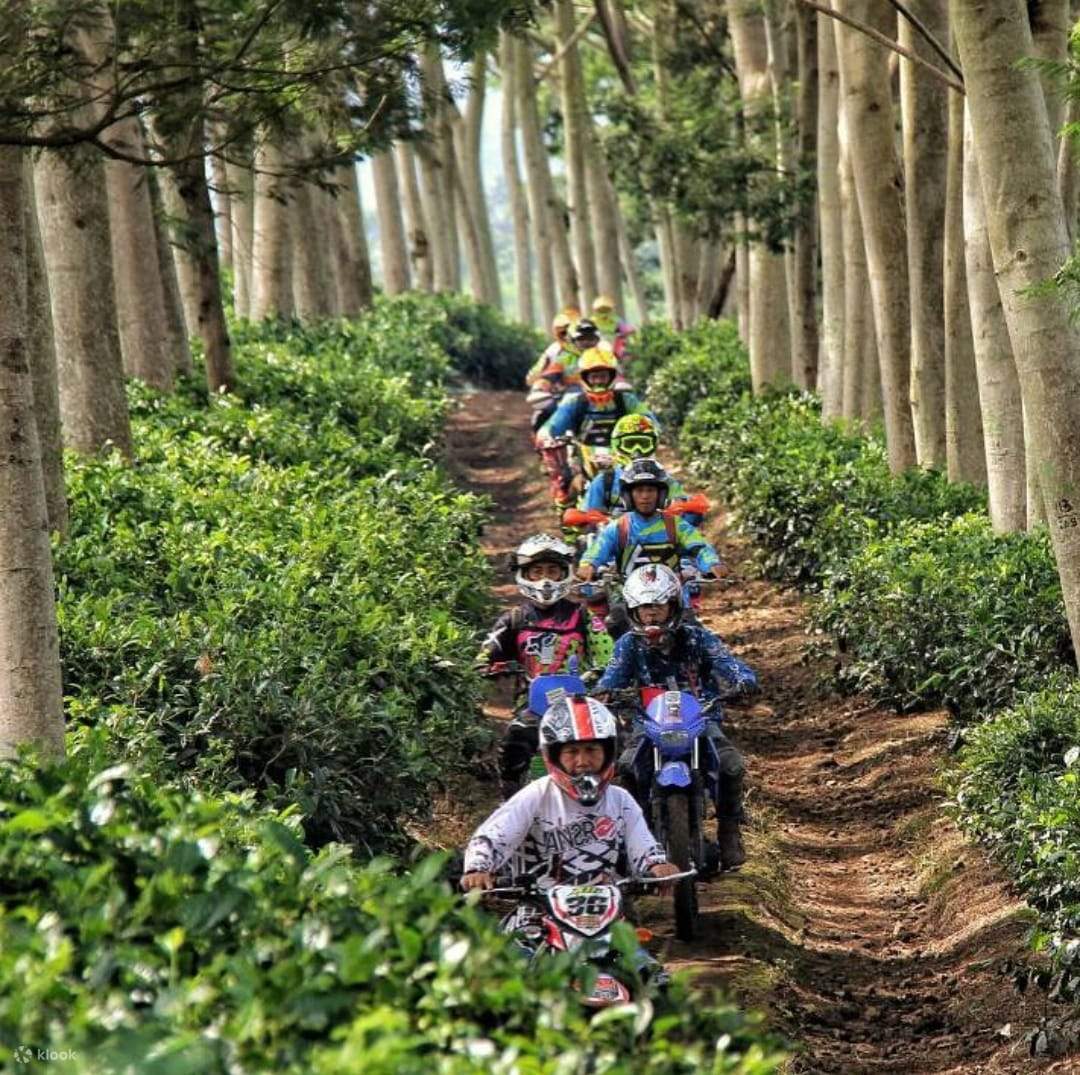 Adventure Trail Trip to Wonosari Tea Plantation - Klook