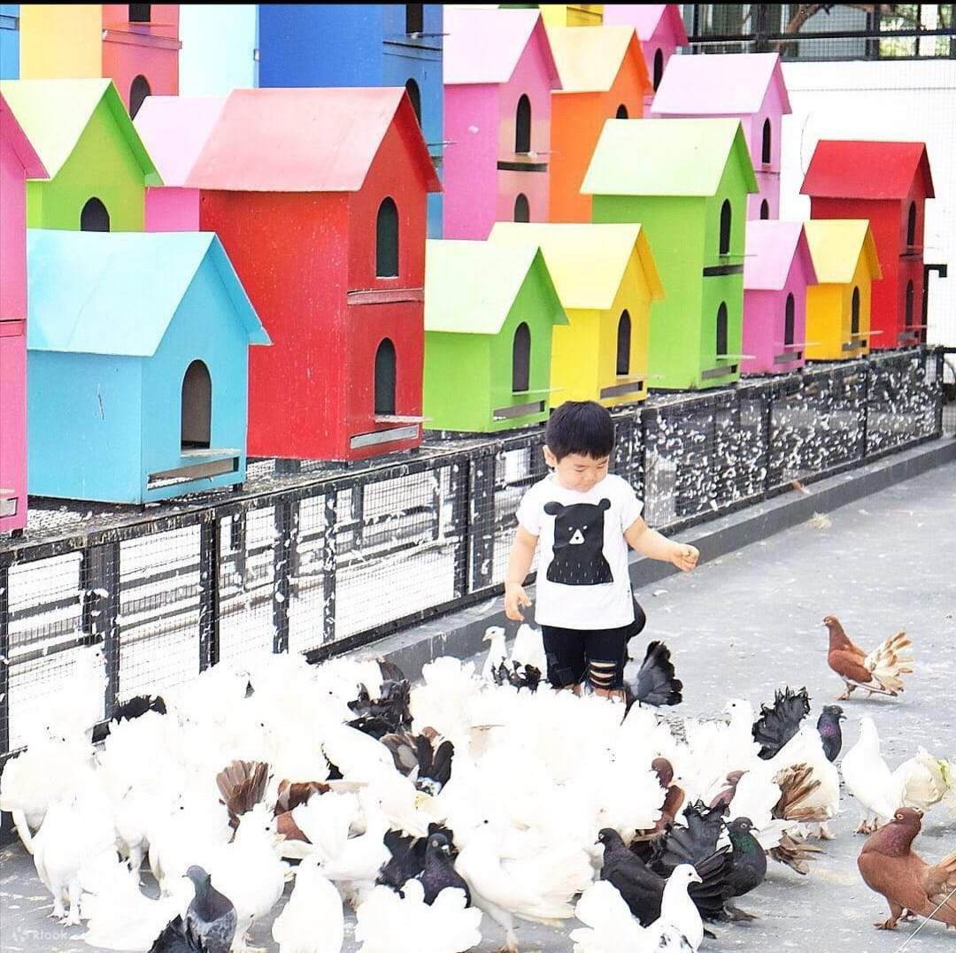 Tiket Rabbit Town Bandung - Klook Indonesia