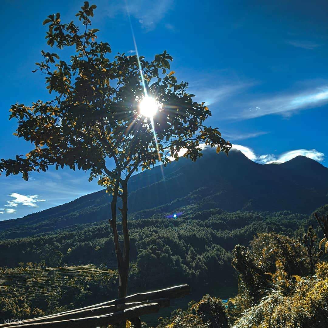 Mount Halimun National Park Ticket and Camping Experience in Bogor ...