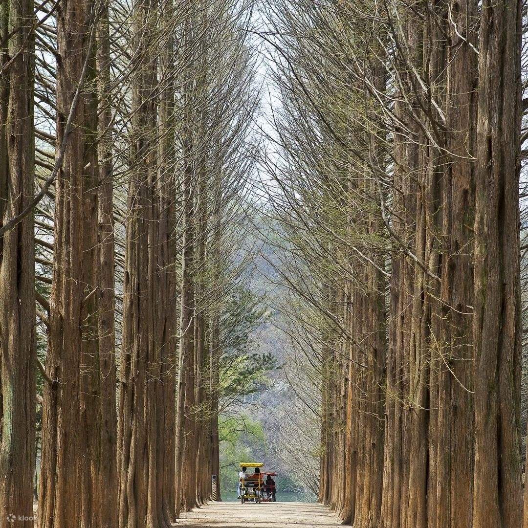 [Klook] Nami Island and Gwangjang Market - Klook