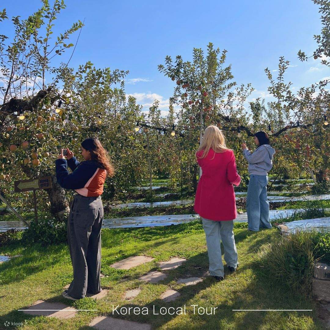 Geochang Mysterious Wellness 1N2D Tour from Seoul - Klook India