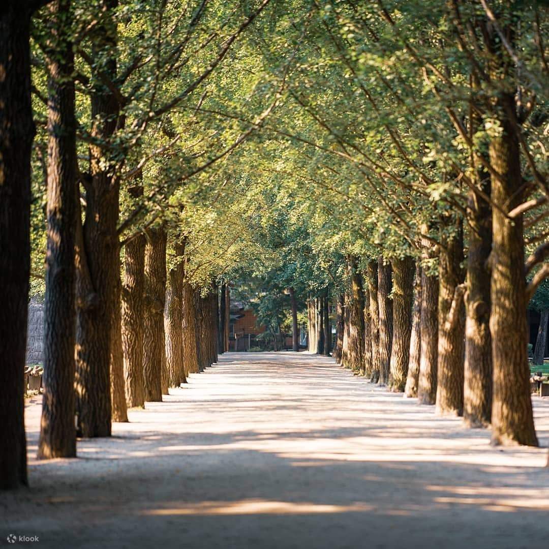Strawberry picking, Eobi ice Valley, Nami Island Tour - Klook United ...