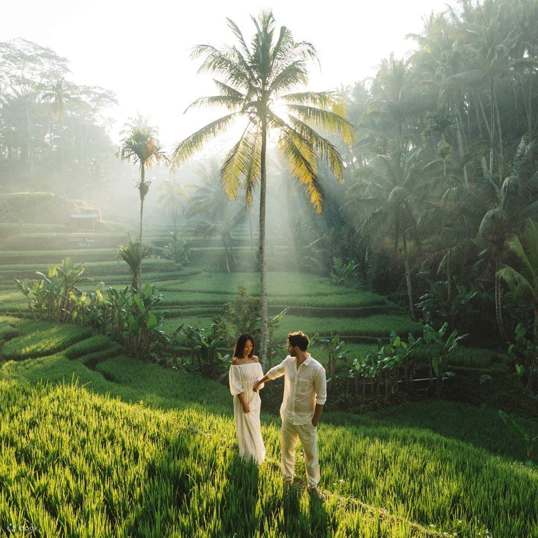 Tis Cafe Tegallalang, Mount Batur Jeep, and Waterfalls Private Day Trip ...