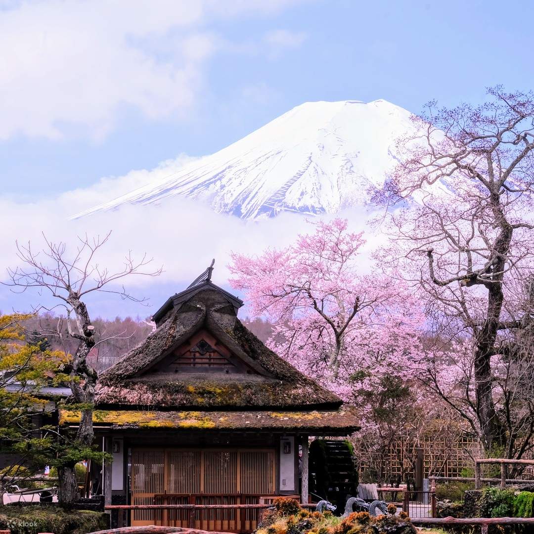 Mount Fuji Magnificent Day Tour from Tokyo - Klook Australia