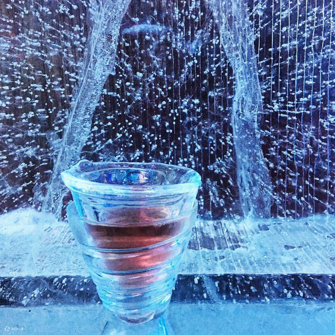 Magic Ice Reykjavik Admission with Drinks, Poncho, and Gloves - Klook ...