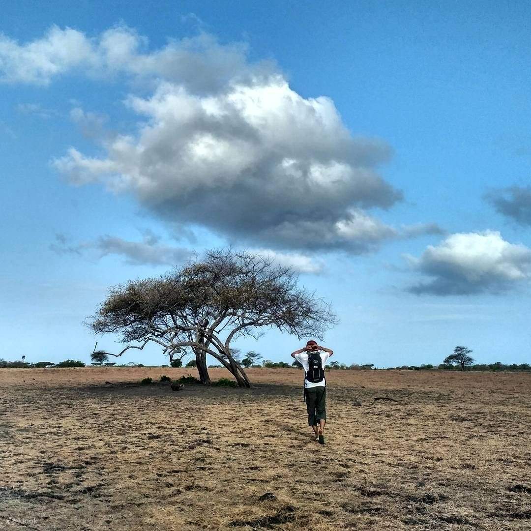 Tabuhan Island, Baluran National Park, Bama Beach Tour in Banyuwangi ...