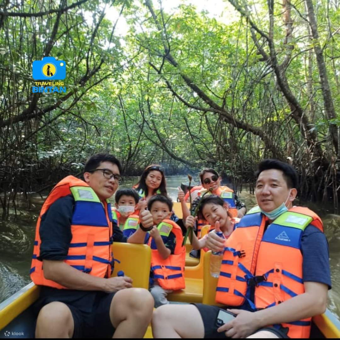 Mangrove Fireflies Bintan Tour - Klook