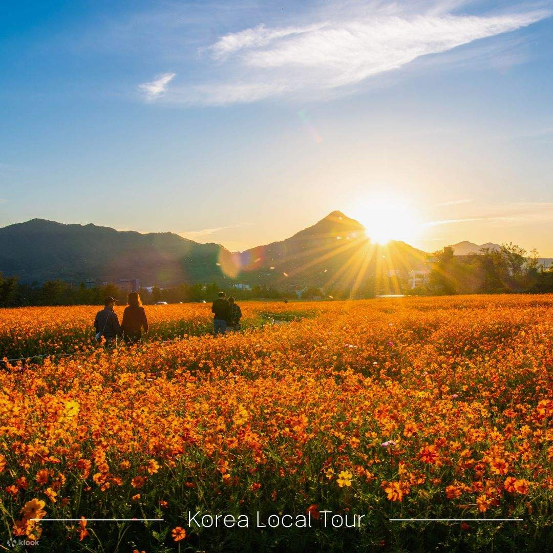 Geochang Mysterious Wellness 1N2D Tour from Seoul - Klook Australia