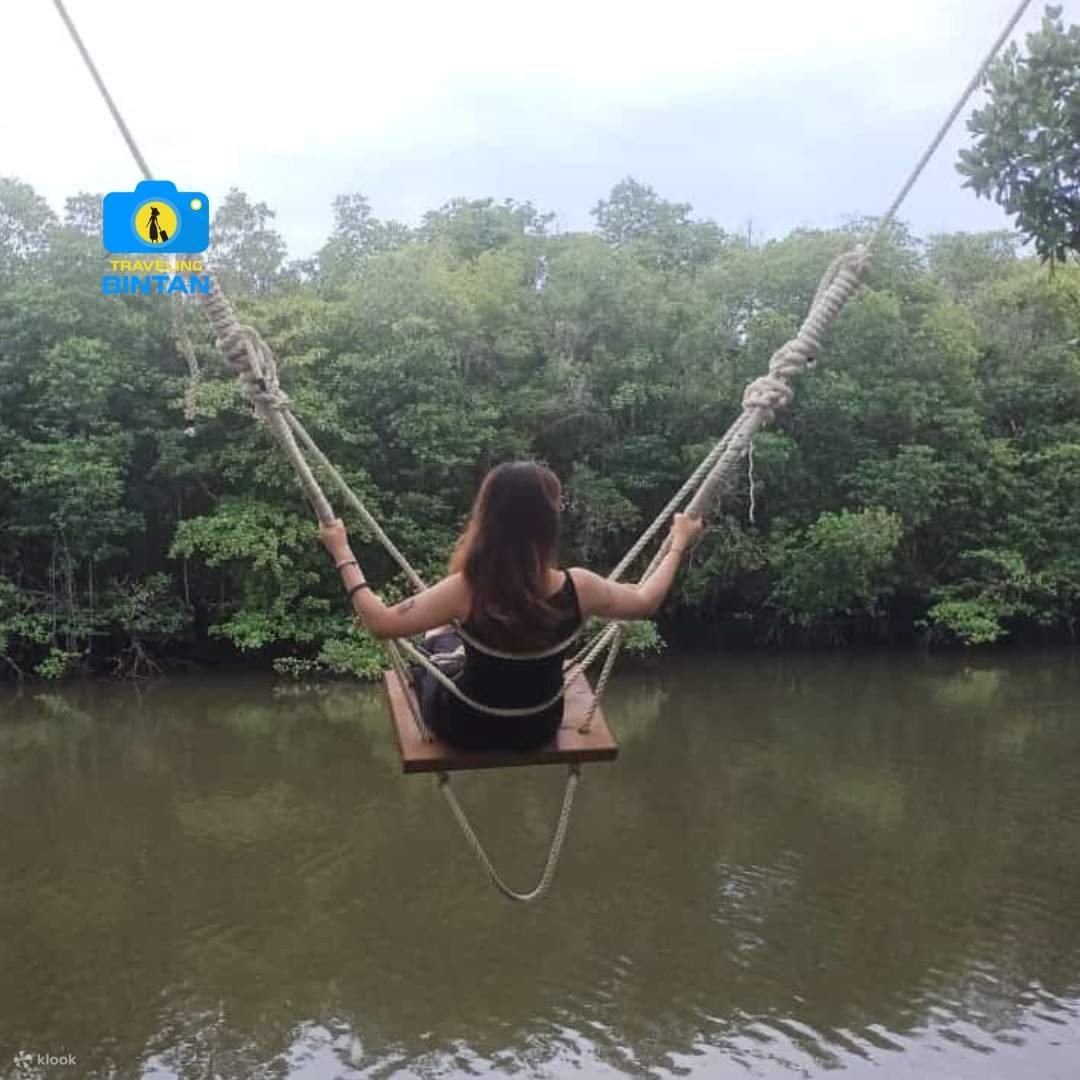 Mangrove Fireflies Bintan Tour - Klook