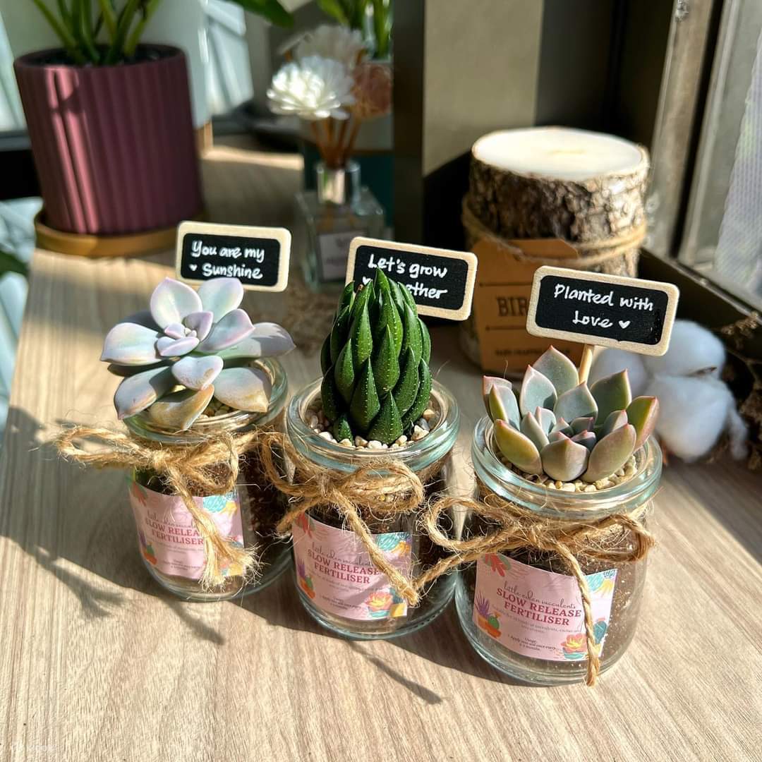 Bengkel DIY Terarium Succulents oleh Little Eden Succulents - Klook Amerika Syarikat