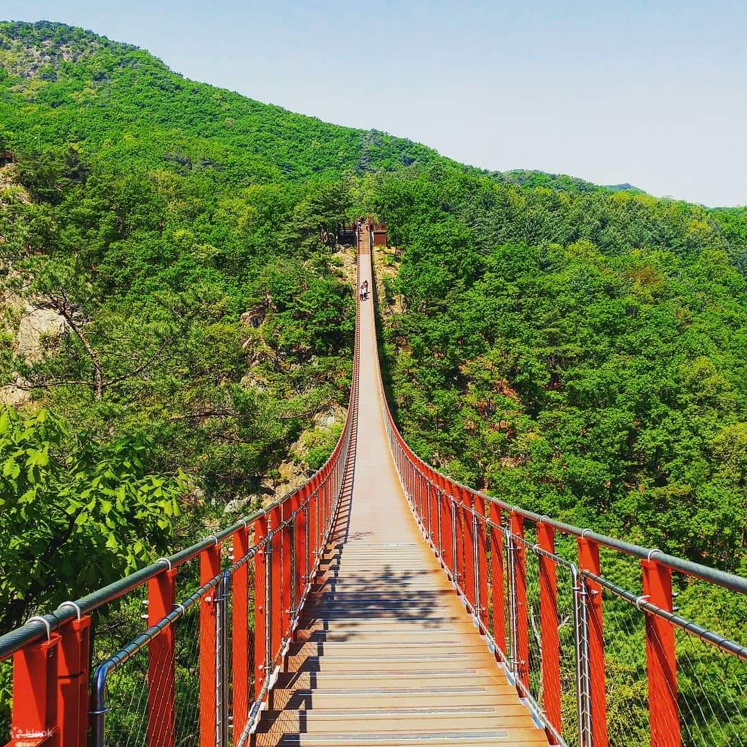 Provence Village & Drama Land & Suspension Bridge Tour from Seoul - Klook