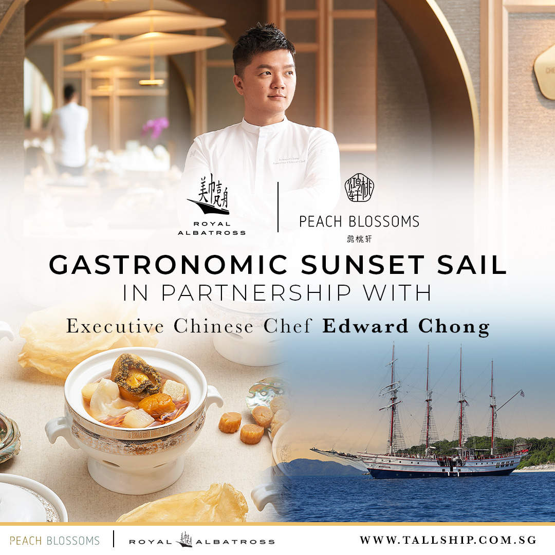 Royal Albatross Gastronomic Sunset Sail Experience - Klook
