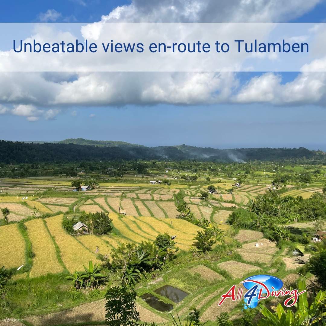 Discover Underwater Wonders with 2 Dives at USAT Liberty, Tulamben ...