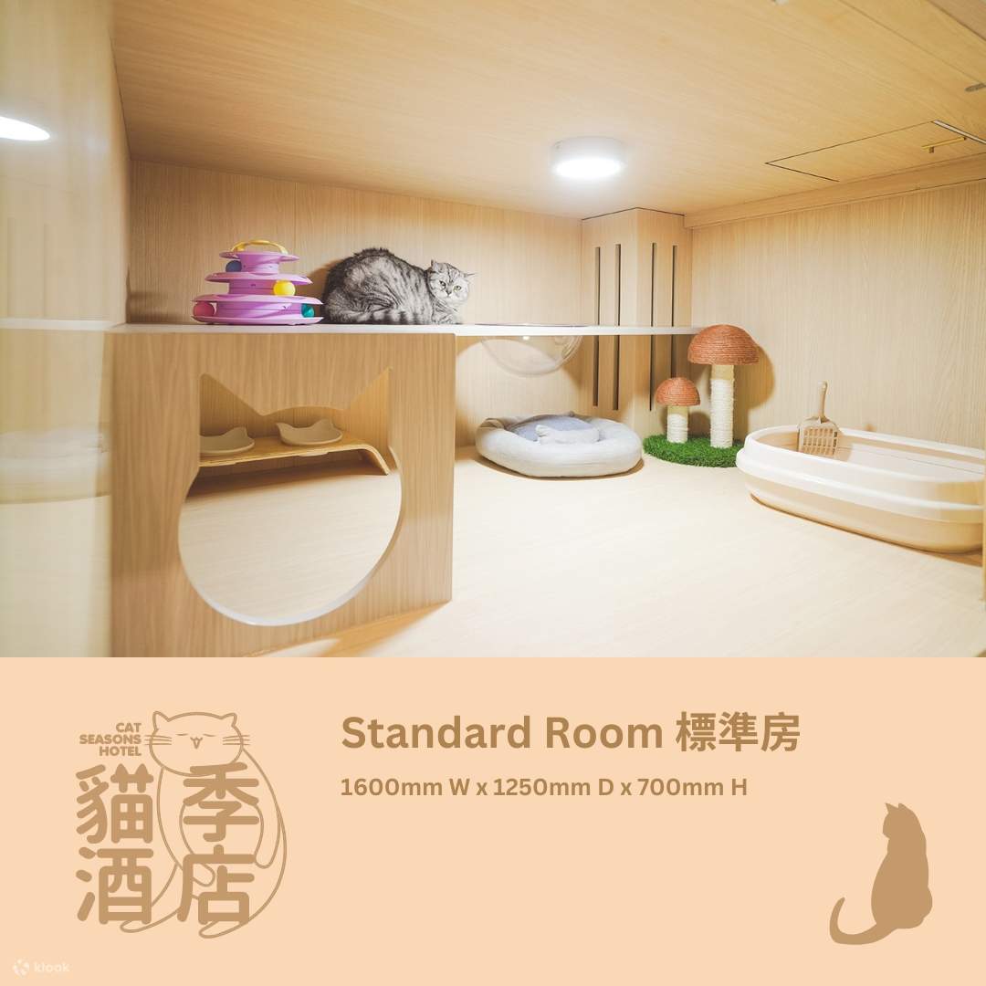 Hong Kong Cat Accommodation Service - Cat Season Hotel - Klook Philippines