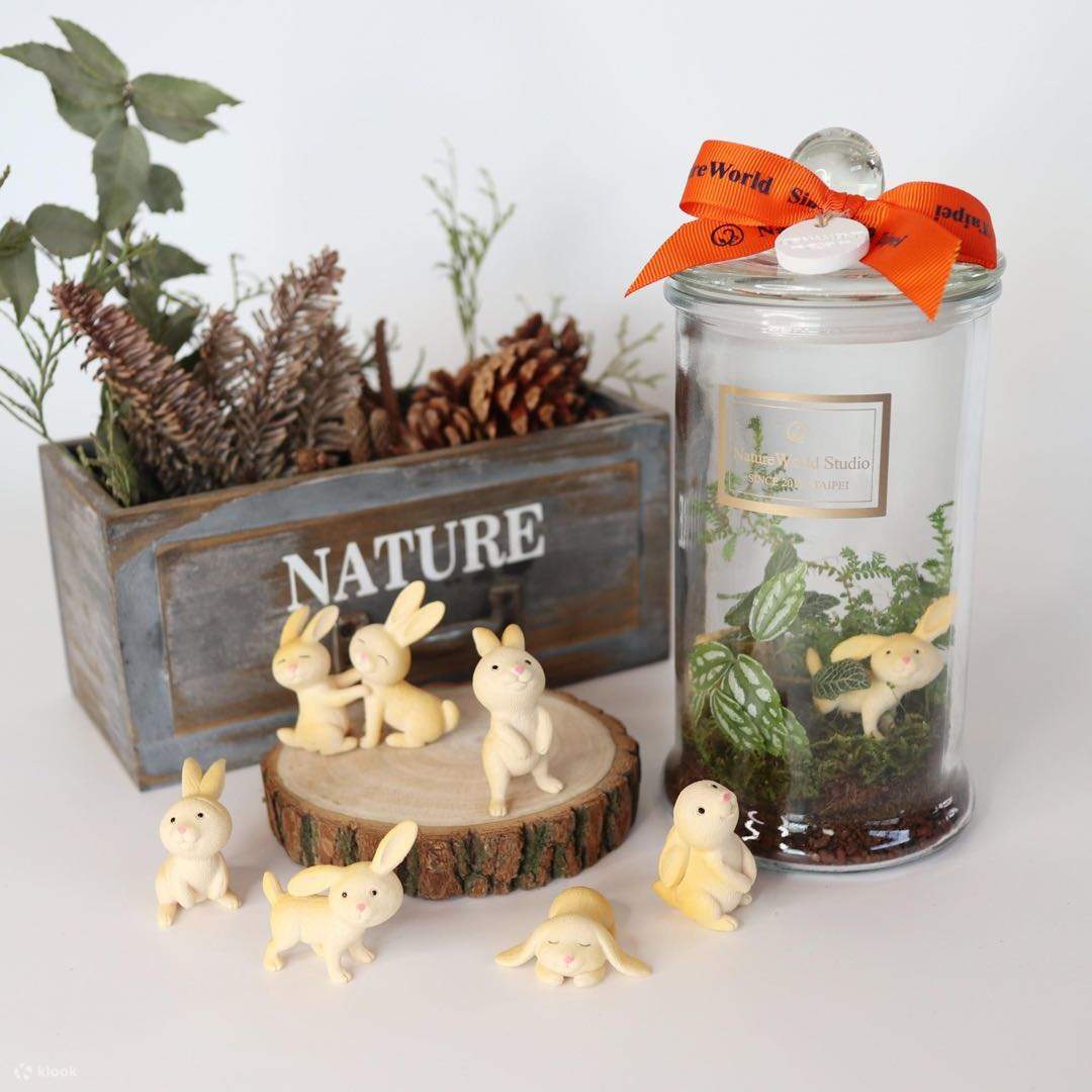 Pingtung: DIY Handmade Experience - Plant Ecological Bottle・Sustainable ...