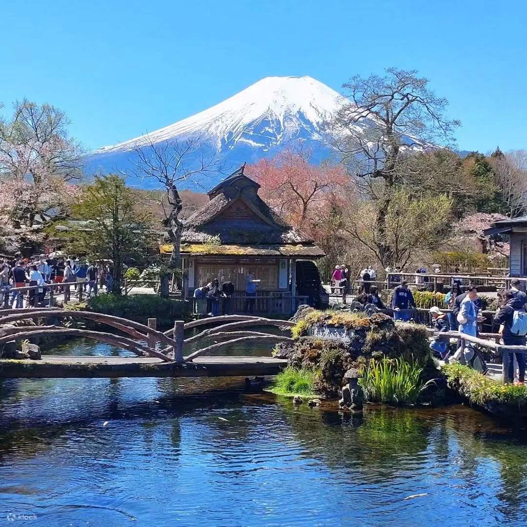 6 beautiful photos of Mount Fuji, a one-day tour, watching swans on the ...