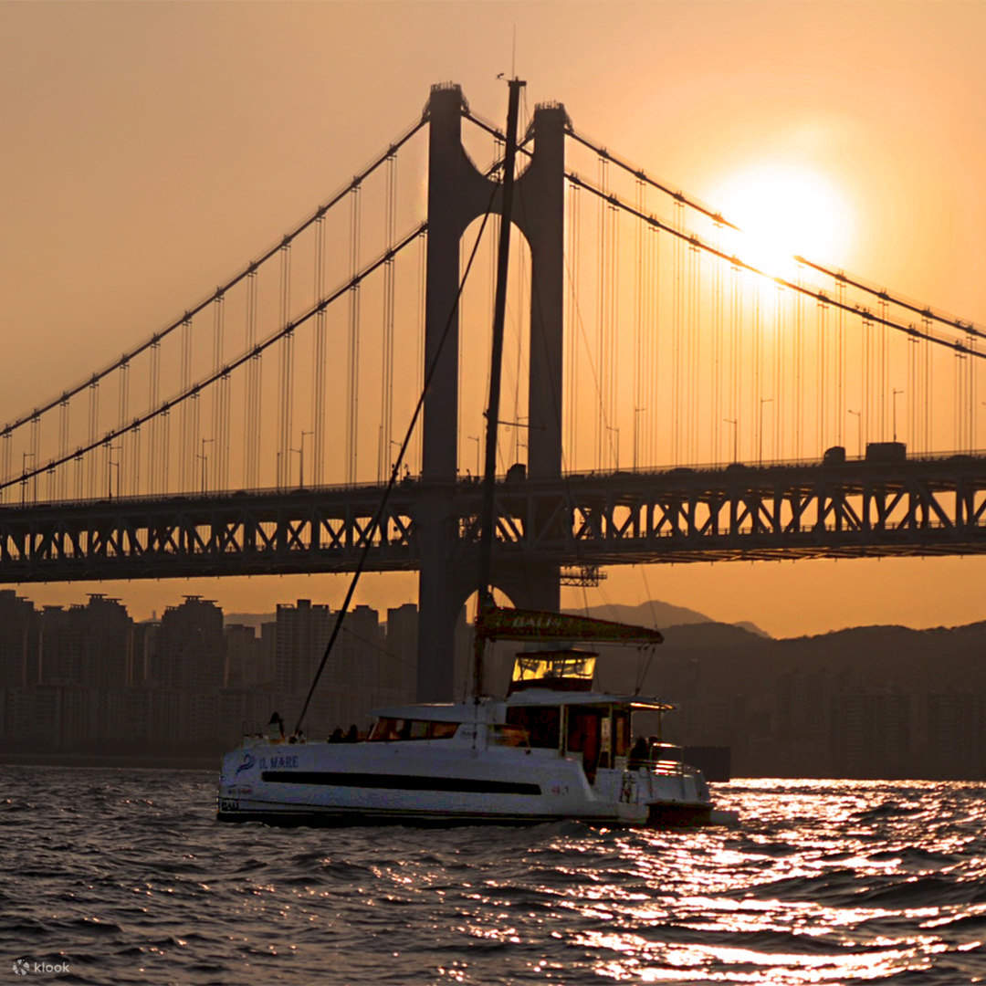 Premium Korean Culture Yacht Tour in Gwangalli, Busan - Klook ...