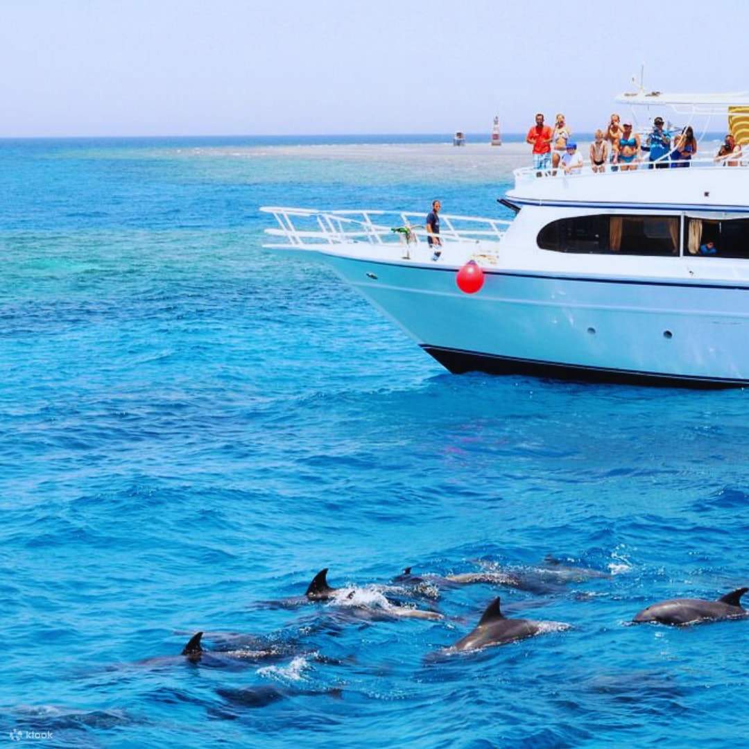 Dolphin House Hurghada Full-Day Tour with lunch and water games - Klook