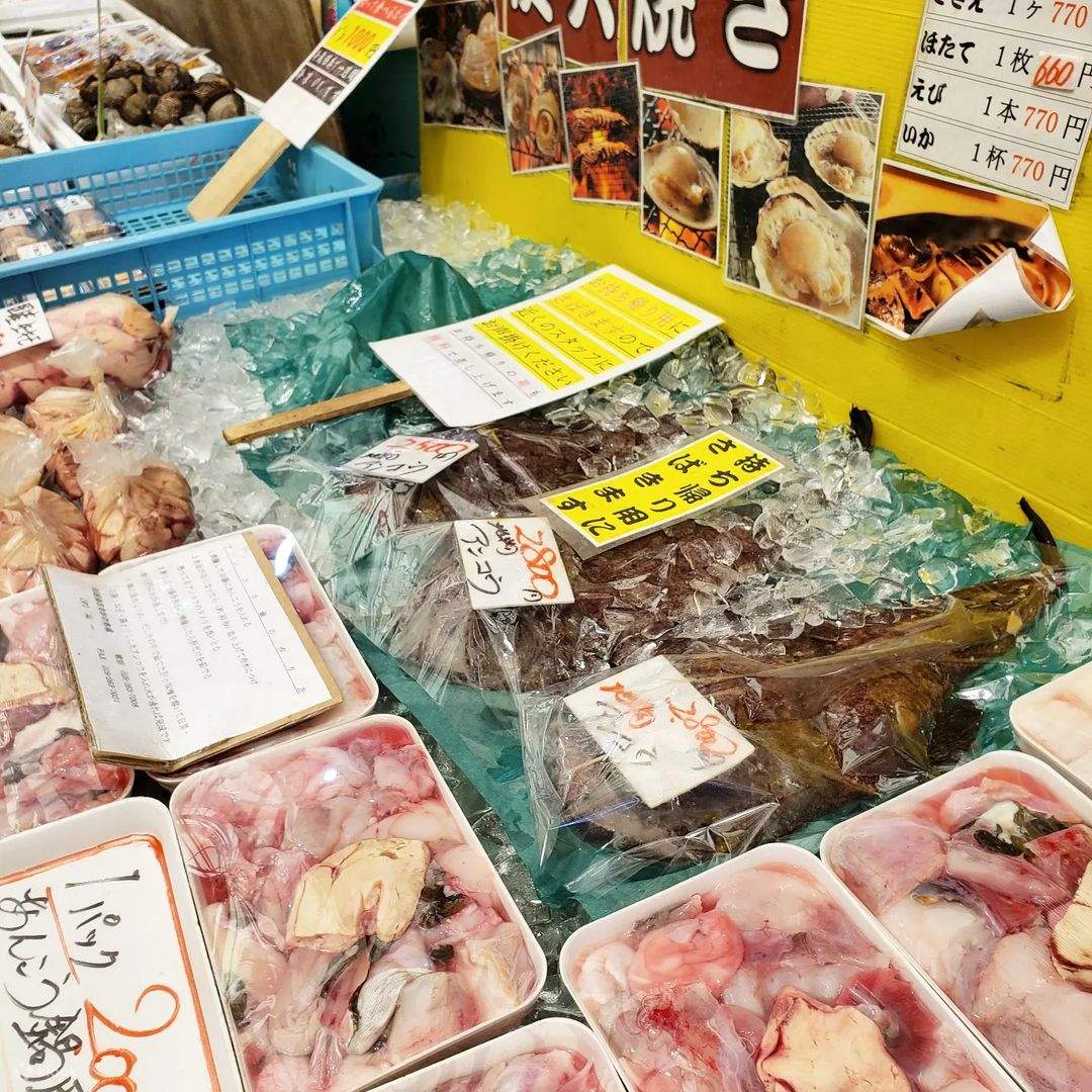 오아라이 이소마에 신사 And 나카미나토 수산 시장 And 히타치 해변 공원 꽃 바다 일일 투어 온라인 예약 클룩 Klook 한국