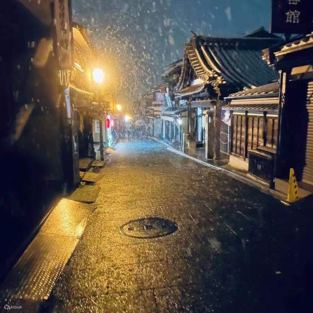 Osaka Private Car Charter to Kyoto/Nara/Kobe - Klook